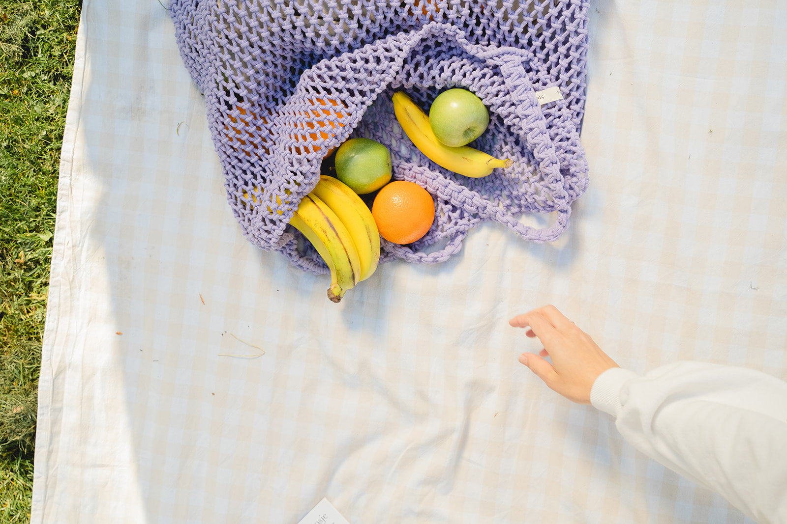 Summer Collection – Studio Noos